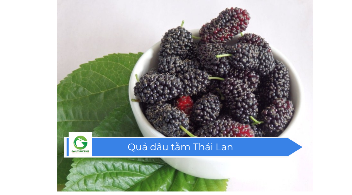 Quả dâu tằm Thái Lan - HOA QUẢ CẦN THƠ