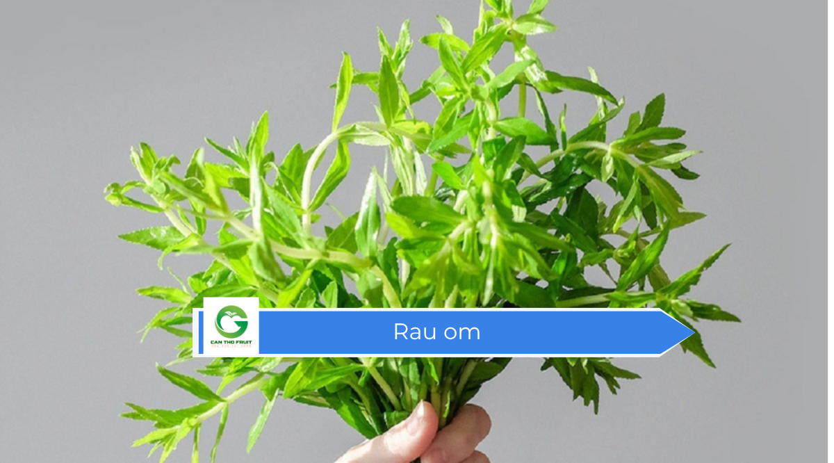 Rau om ngon như nhà trồng - HOA QUẢ CẦN THƠ