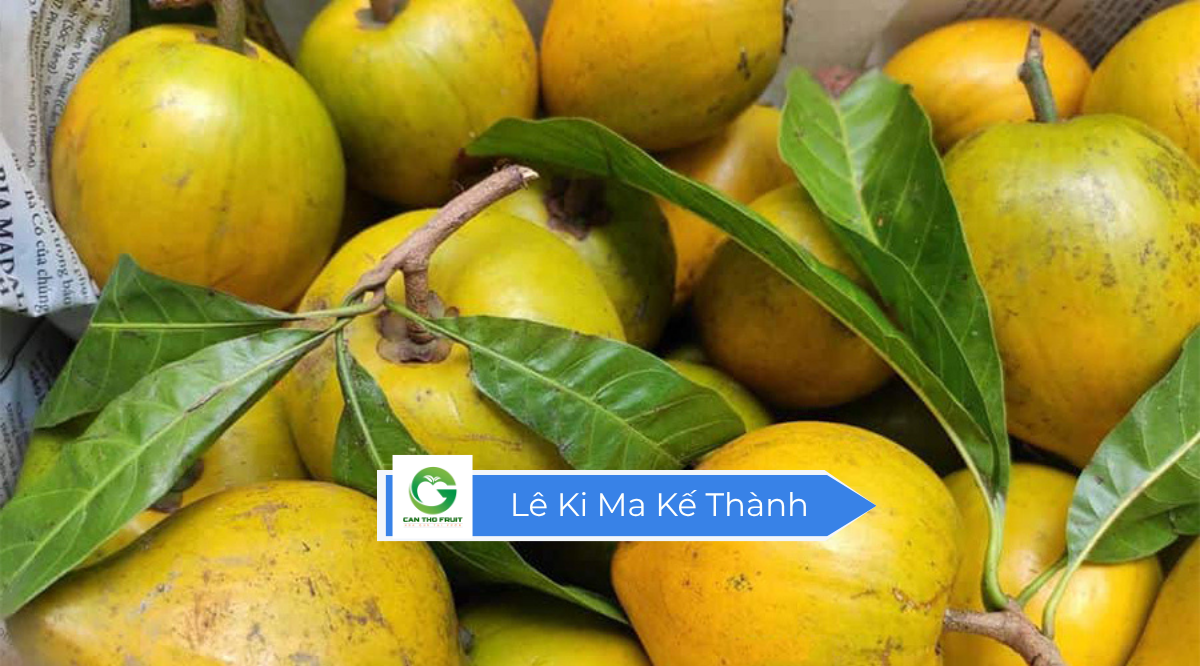 Lê ki ma Kế Thành - HOA QUẢ CẦN THƠ