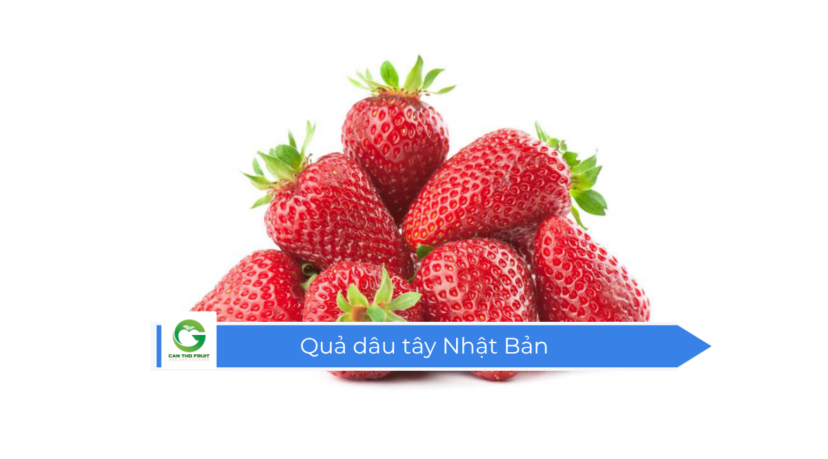 Quả dâu tây Nhật Bản - HOA QUẢ CẦN THƠ