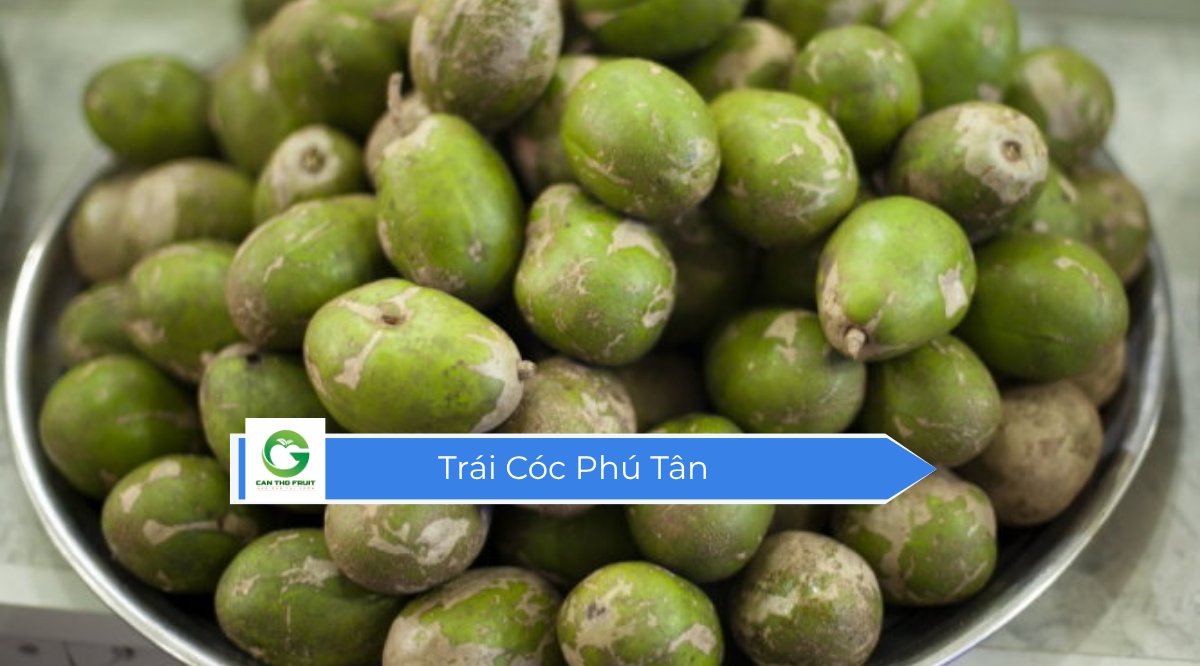 Trái cóc Phú Tân - HOA QUẢ CẦN THƠ