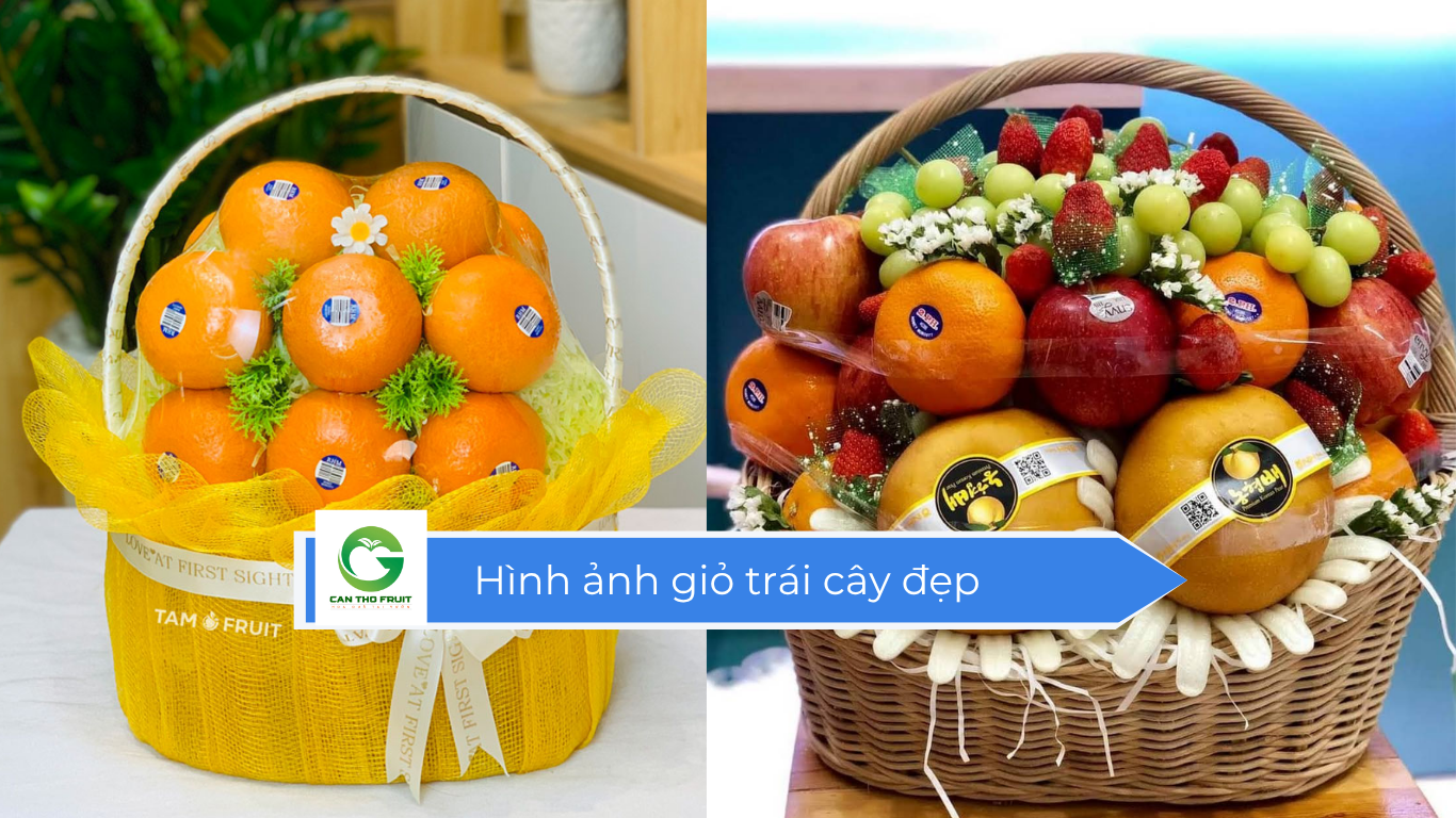 Hình ảnh giỏ trái cây đẹp - HOA QUẢ CẦN THƠ
