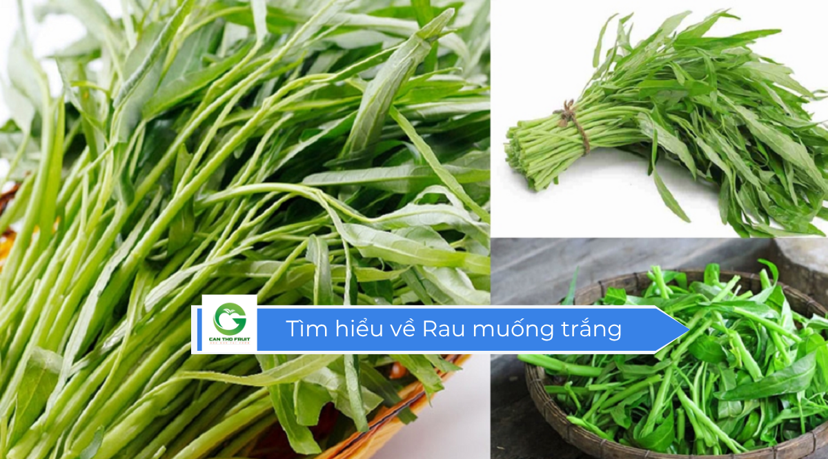 Rau muống trắng ngon mê ly giá rẻ - HOA QUẢ CẦN THƠ