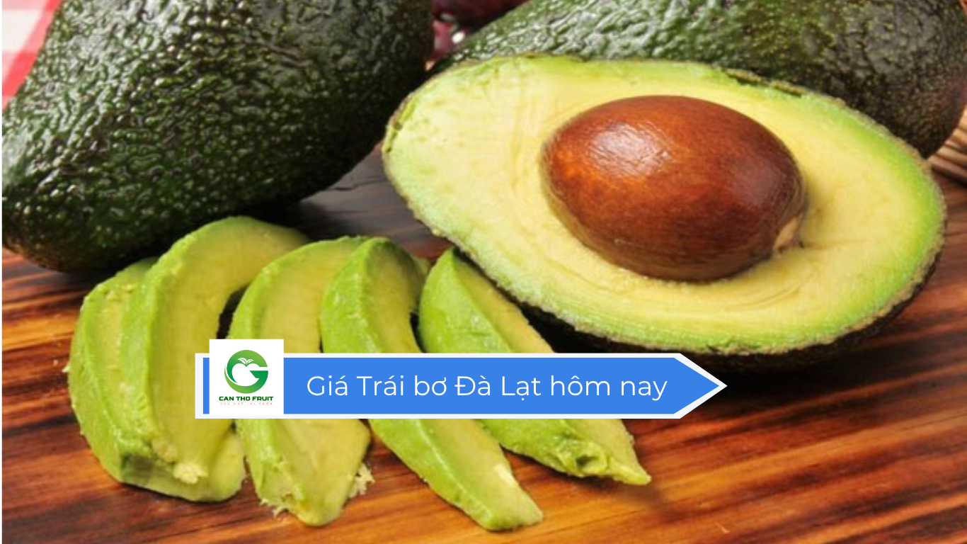 Giá Trái bơ Đà Lạt hôm nay - HOA QUẢ CẦN THƠ